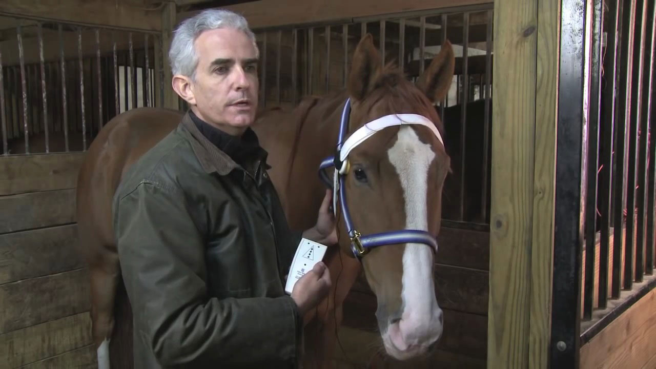 Article | DIY tDCS | Page 3